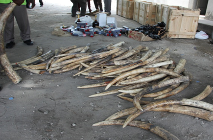 Ivory smuggler arrested during Operation Cobra II to serve 20 years in ...